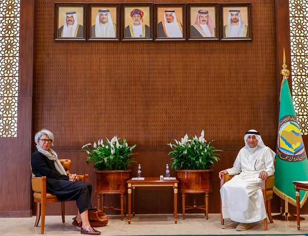 GCCSG Discusses Regional Cooperation Opportunities in the Field of ...