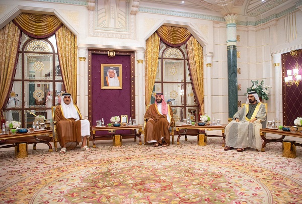 Press Statement By His Excellency the Secretary General of the Gulf ...