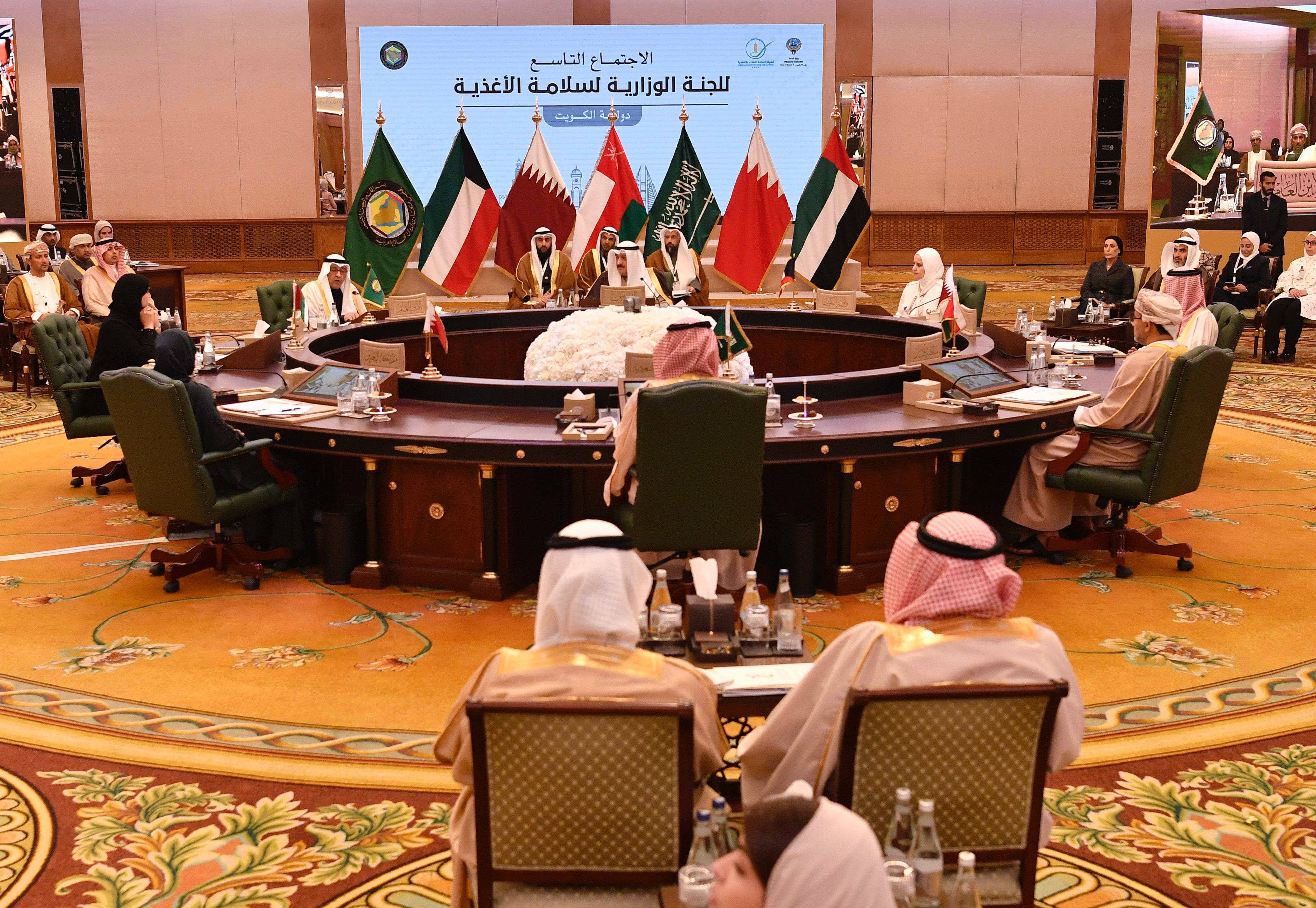 HE GCCSG:Their Majesties & Highnesses,the GCC Leaders Firmly Believe ...